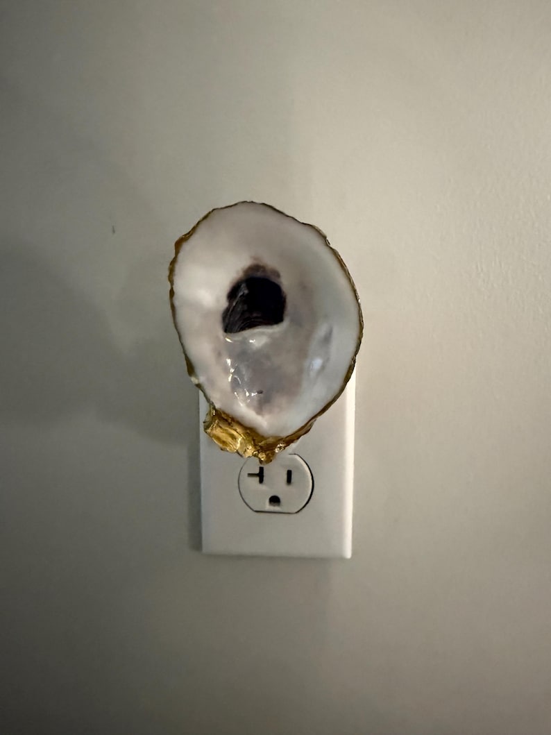Oyster Shell Night Light - Etsy