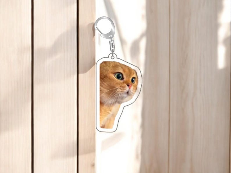 Funny Cat Meme Keychain Cute Gift for Students & Best Friends - Etsy
