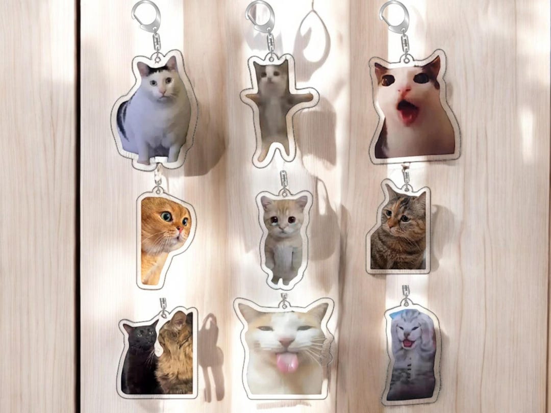 Funny Cat Meme Keychain Cute Gift for Students & Best Friends - Etsy