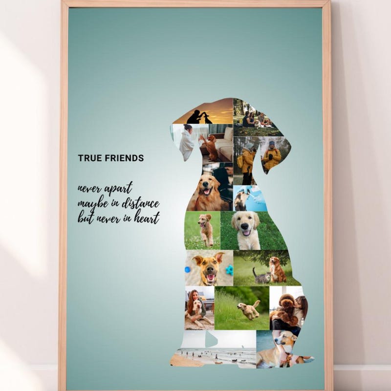 Dog Photo Collage - Etsy