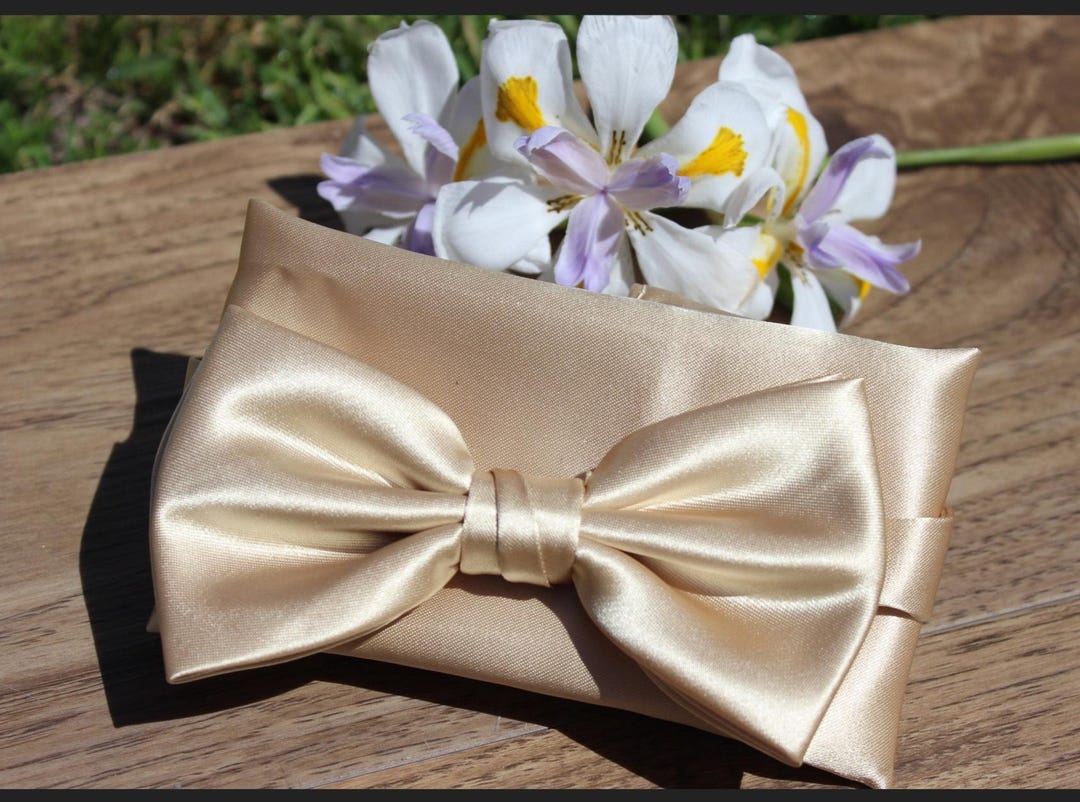 Men's (champagne ) Color Microfiber Bow Tie and Hanky Set - Etsy