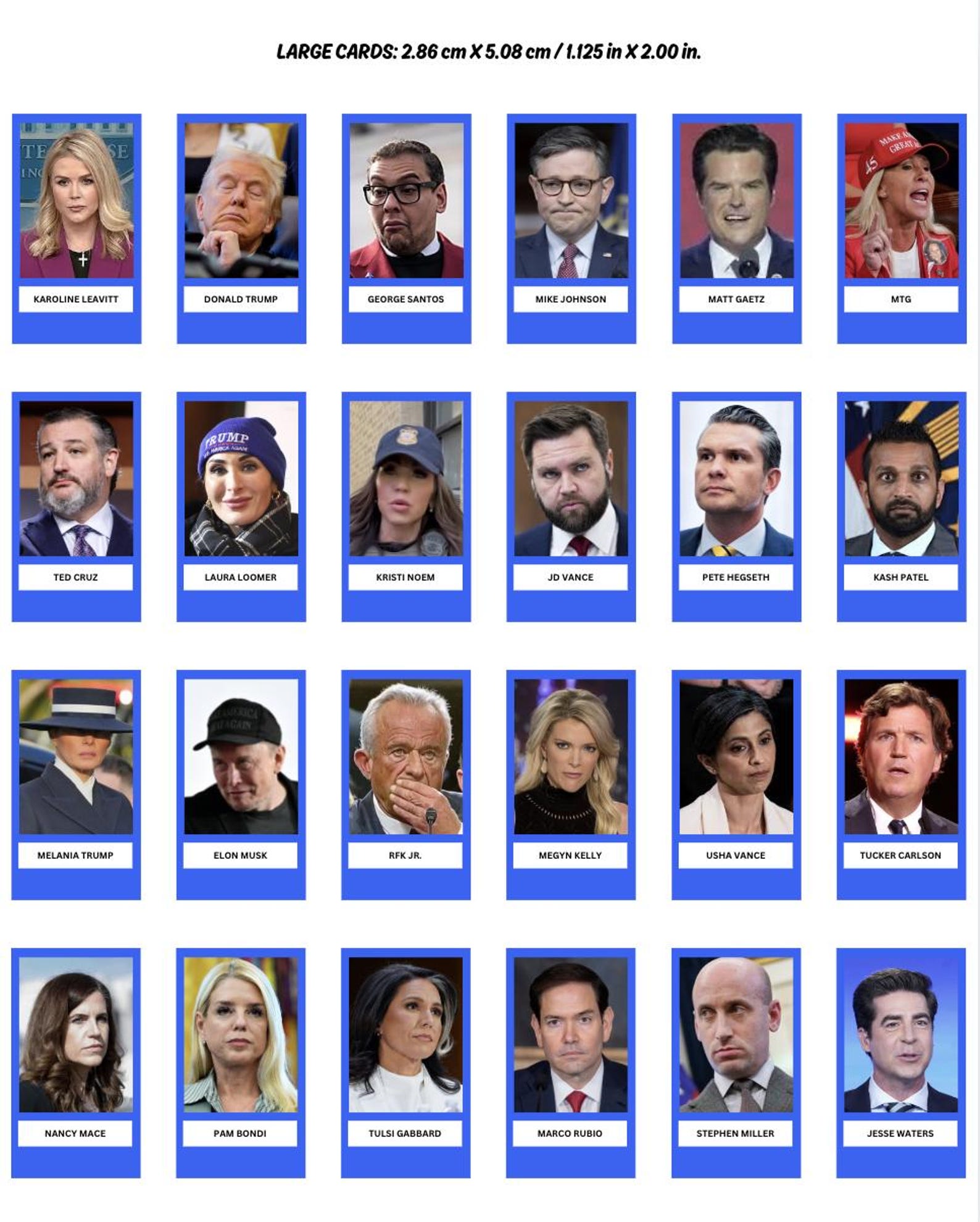 Guess Who? MAGA Edition (cards Only) - Etsy