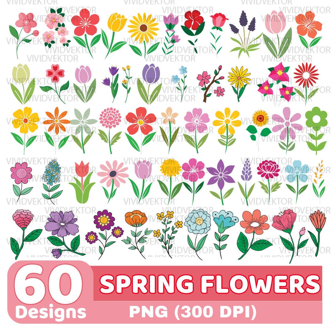 Spring Flower Clipart Bundle – 60 Floral Designs (SVG, PNG, JPG) - Etsy