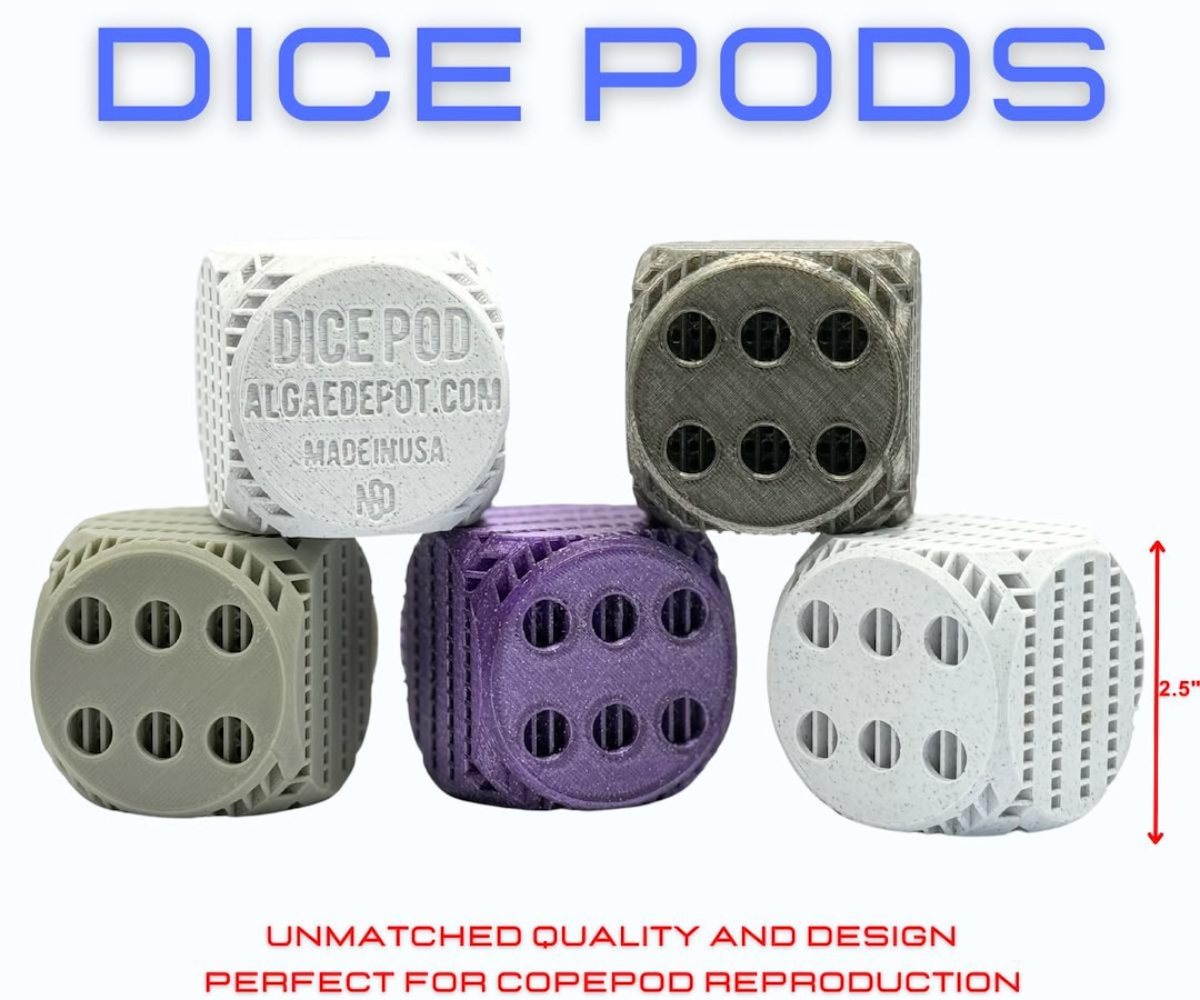 Copepod Breeder Hotel, Copepod Hotel, Copepod Breeder, Pod Factory - Etsy