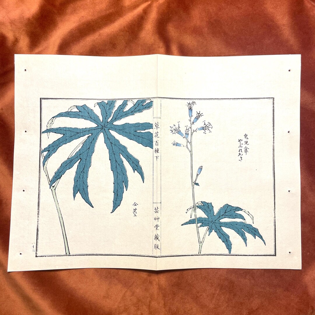 Original Ukiyo-e, Vintage Japanese Kacho-e Woodblock Print. 100 Species ...