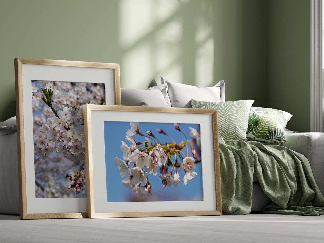 Cherry Blossoms Printable Photo Posters, Set of 2 Prints, Nature ...