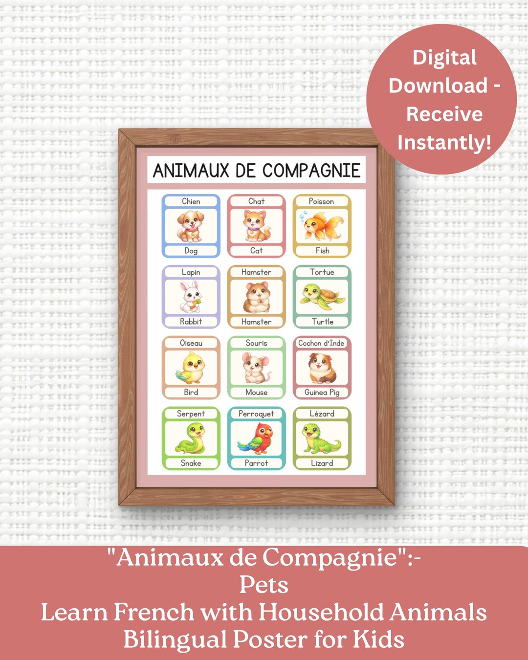 French Pets Poster for Kids, Animaux De Compagnie Printable, Bilingual ...