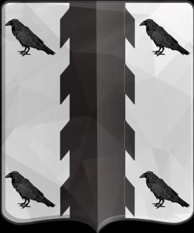 Knight Raven of the Order of the Raven's Wing - Etsy