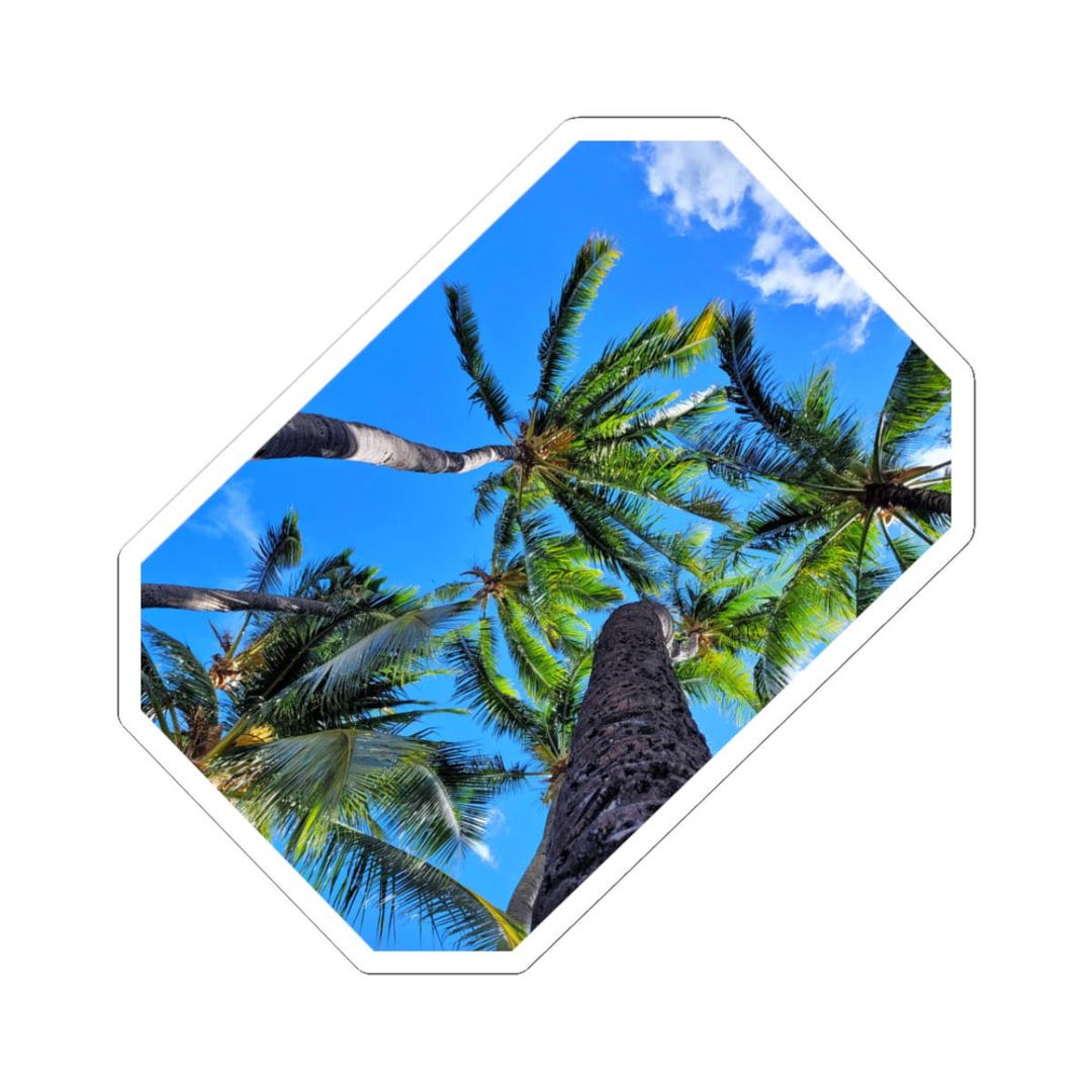 Tropical Stickers for Laptops Palm Tree Stickers for Journals Ideas for ...