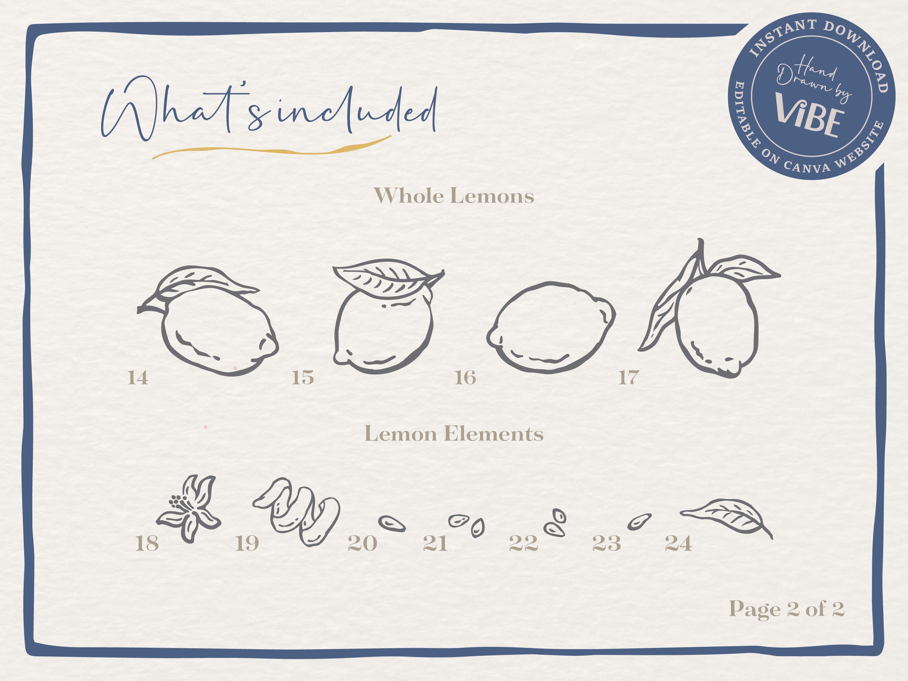 24 Hand Drawn Lemon Set - Lemon SVG and PNG Clipart. Perfect for Lemon ...