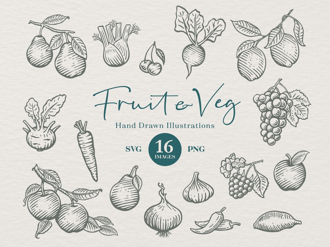 16 Hand Drawn Fruit and Vegetables Illustrations Bundle - Fruit and Veg ...