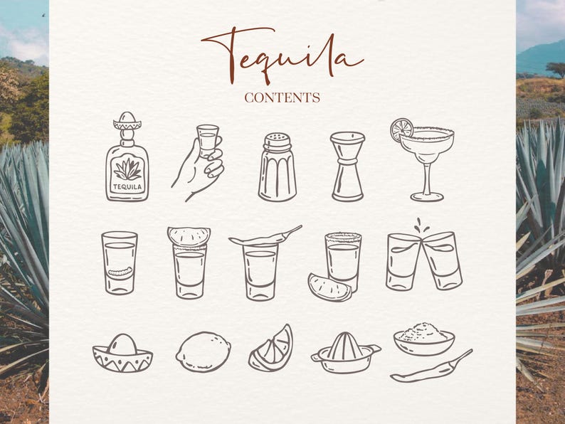 Tequila Clipart: Hand-drawn Illustrations (SVG and PNG Files. Canva ...