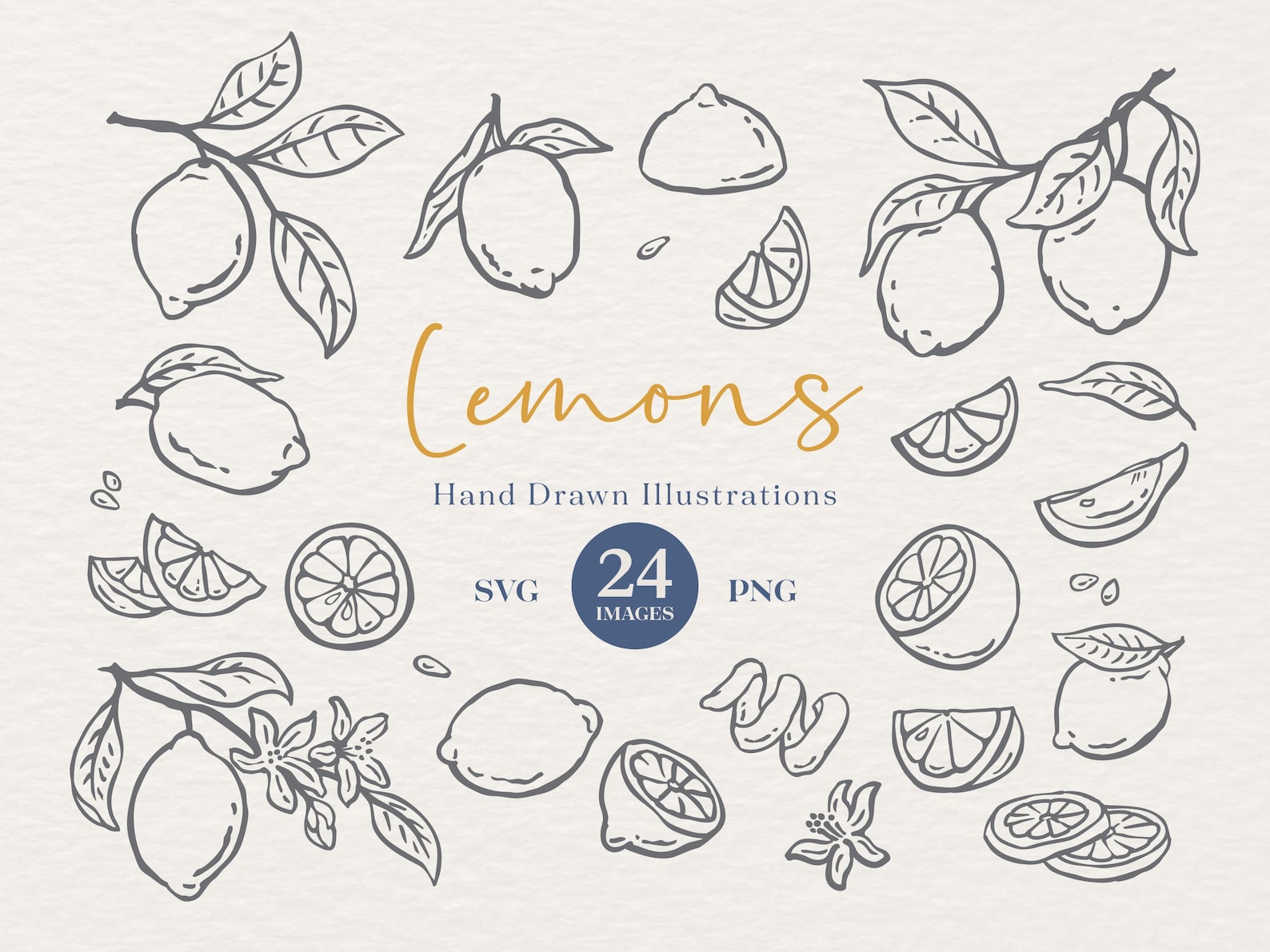 24 Hand Drawn Lemon Set - Lemon SVG and PNG Clipart. Perfect for Lemon ...