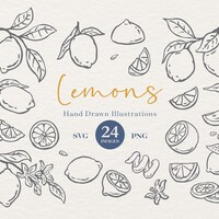 Lemon Doodles SVG PNG Clipart Bundle: Hand-drawn Citrus Illustrations ...