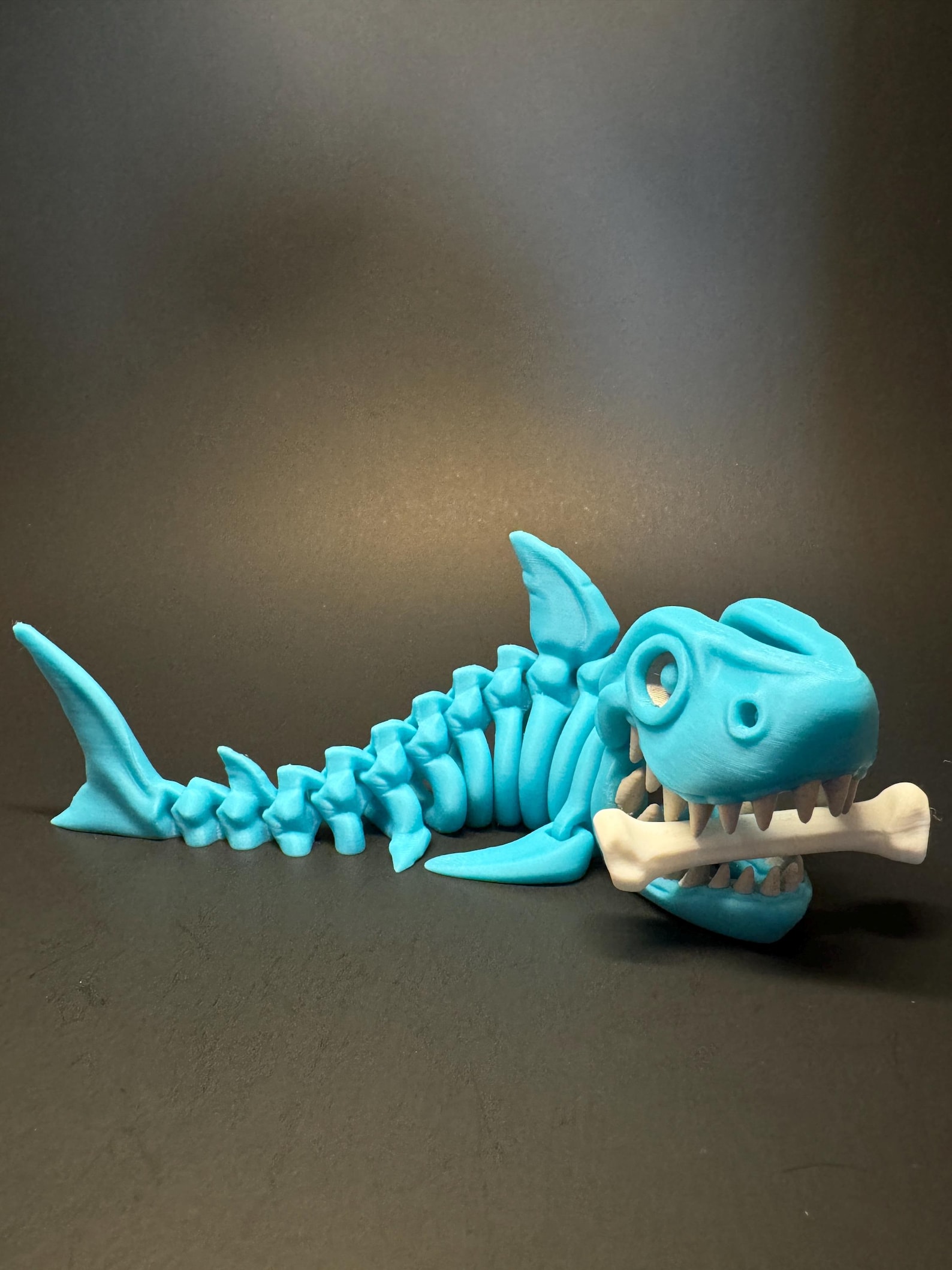Fidget Bone Shark – 3D Printed Flexible Shark Fidget Toy - Etsy
