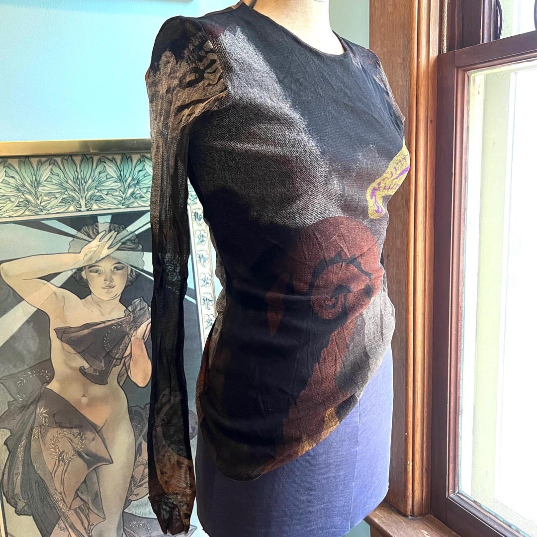 Sheer Long Sleeve Whimsigoth Top for Layering - Etsy