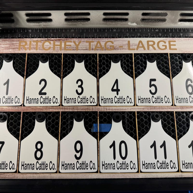 Custom Plastic Ear Tag - Etsy