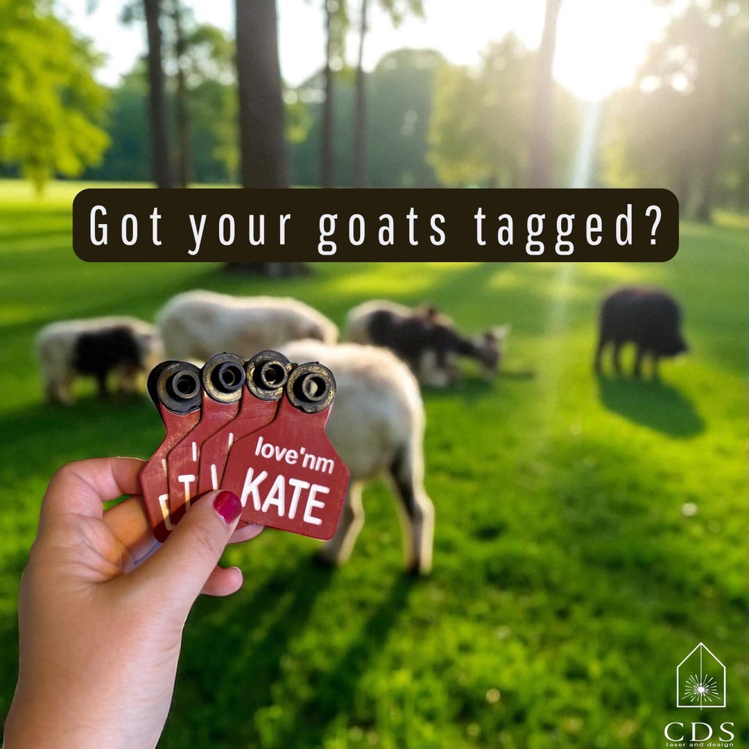 Custom Engraved Ritchey Goat Ear Tags: Small, Weatherproof Herd ID - Etsy