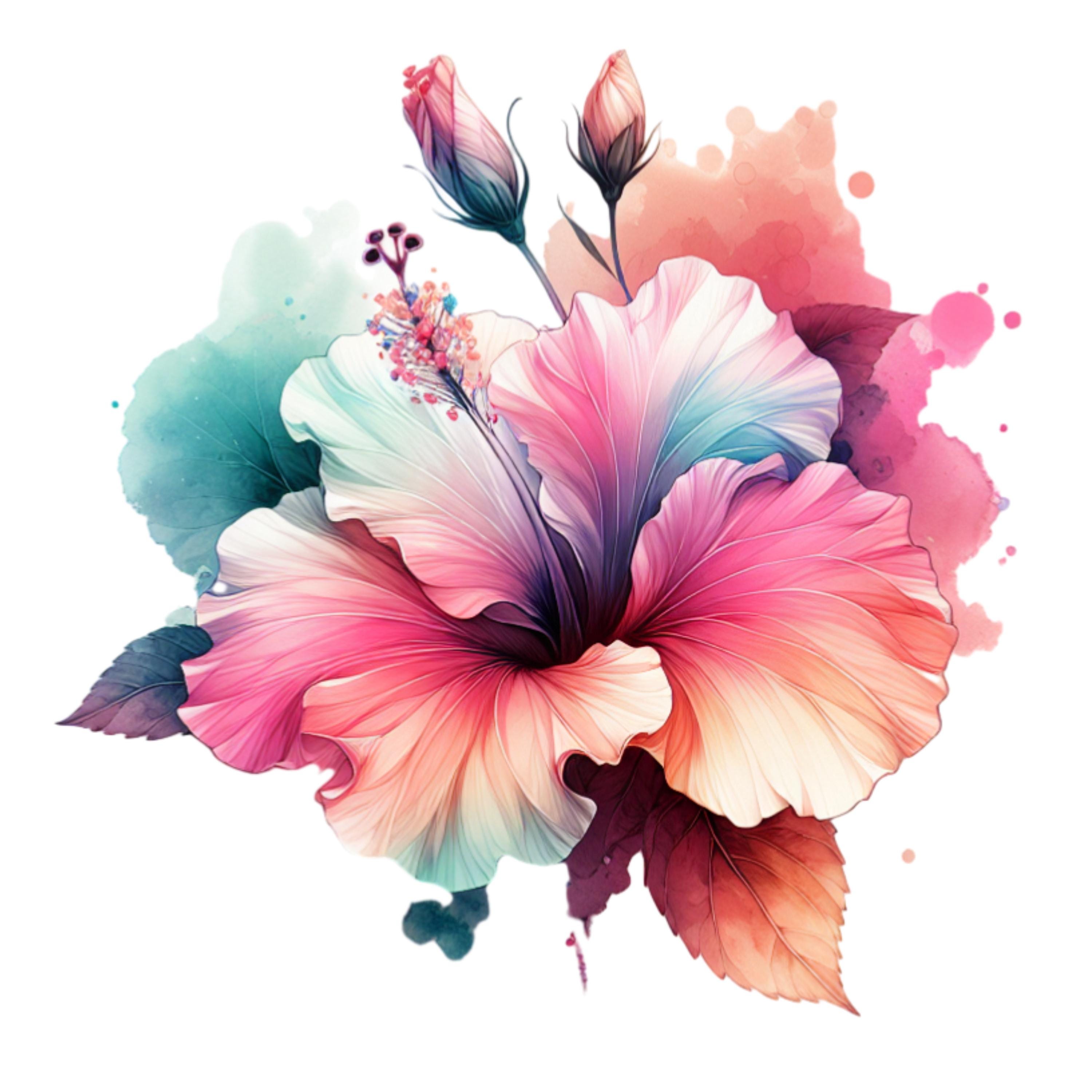 Watercolor Hibiscus Flower PNG, Tropical Floral Clipart (digital ...