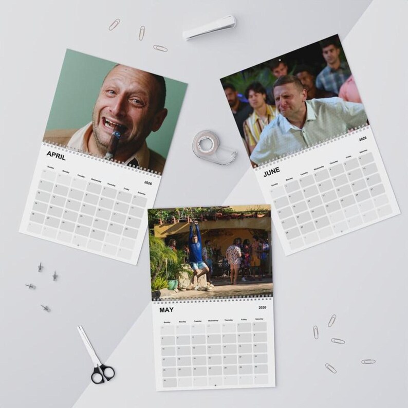 Tim Robinson 2026 Wall Calendar – Funny Fan Calendar & Planner ...
