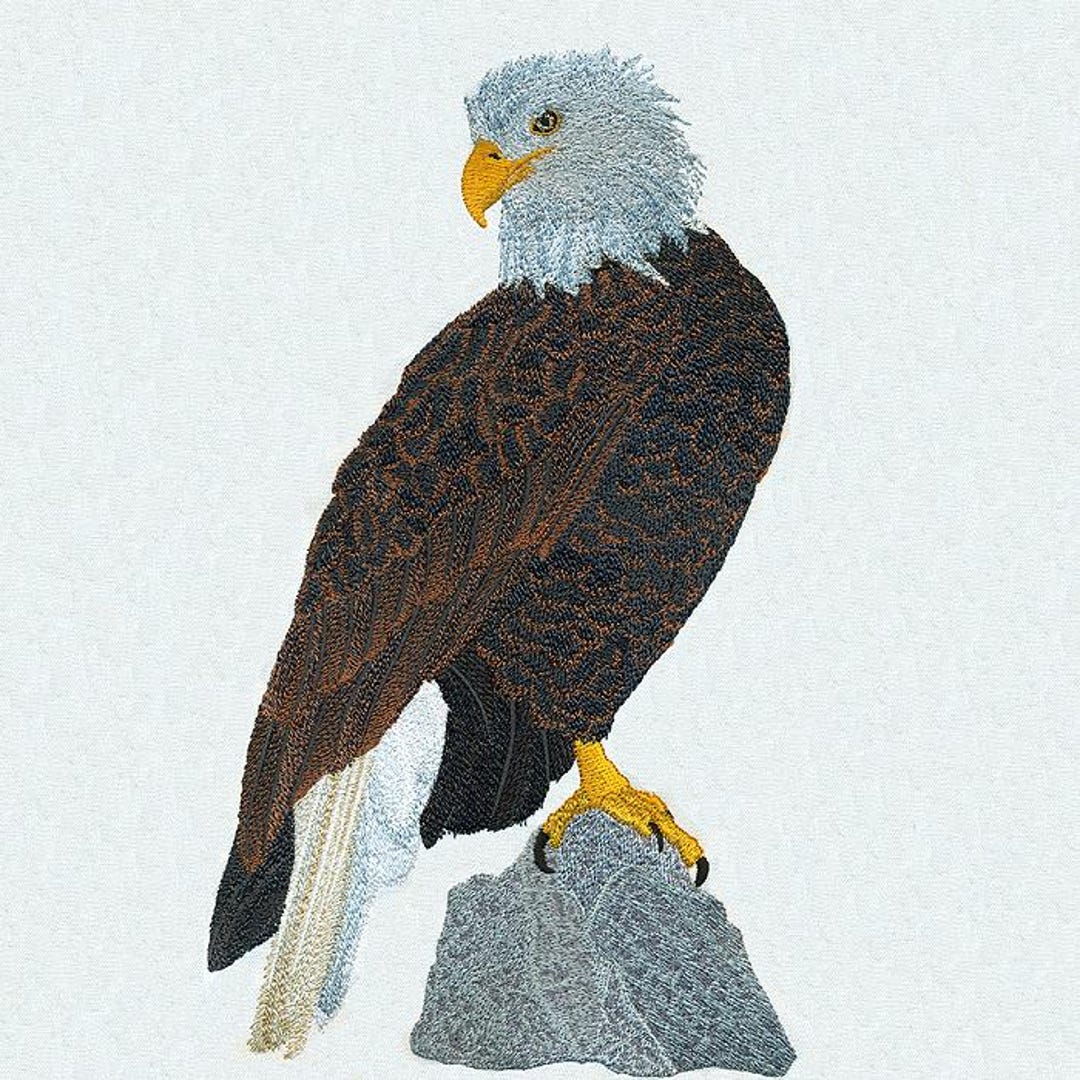 Realistic Bald Eagle Embroidery Design - Majestic Bird Stitch File ...