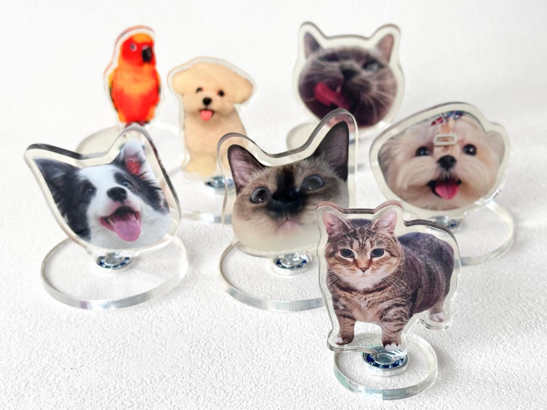 Custom Pet Spin Stand, Personalized Desk Decoration, Acrylic Pet ...