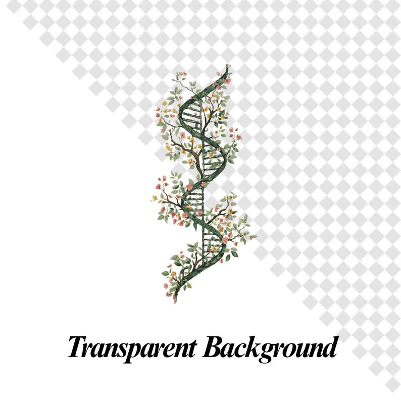 Floral DNA Coquette Bow Clipart Genes PNG Bundle Science Graphic ...