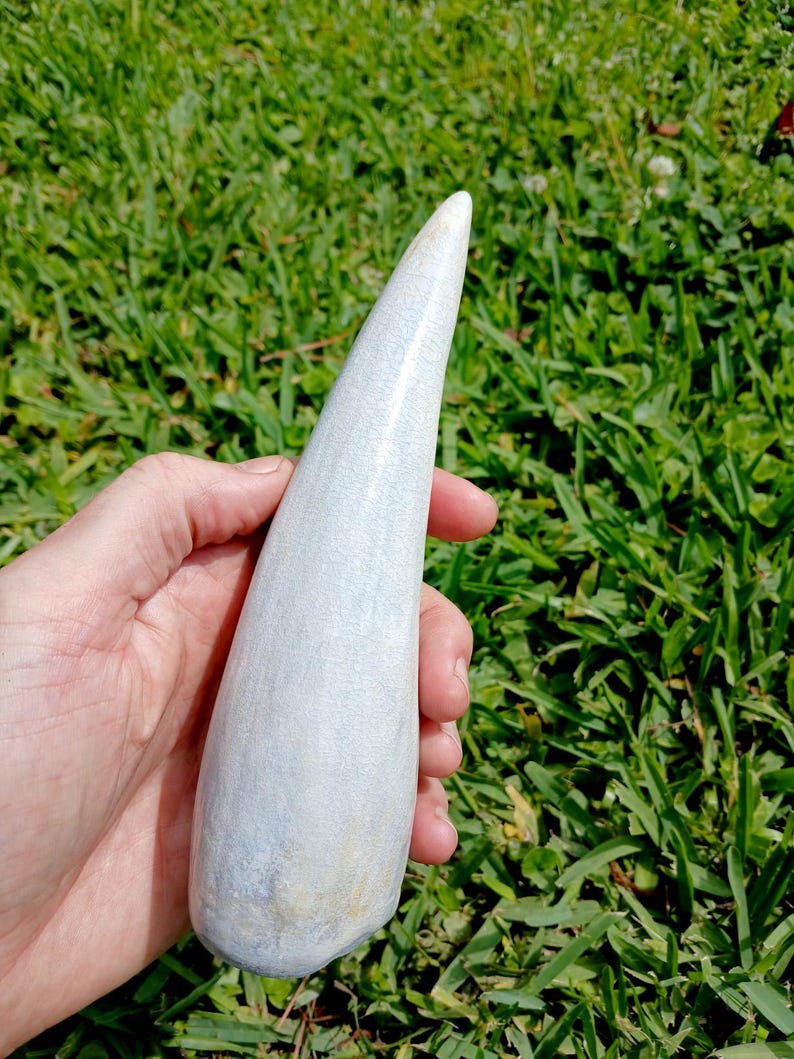 Jurassic World Indominus Rex Tooth Replica Prop, Dinosaur Tooth, T-rex ...