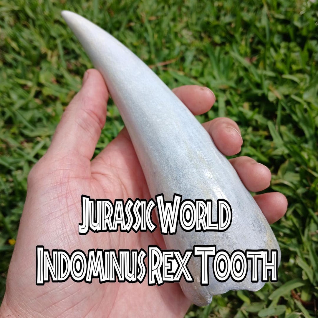 Jurassic World Indominus Rex Tooth Replica Prop, Dinosaur Tooth, T-rex ...