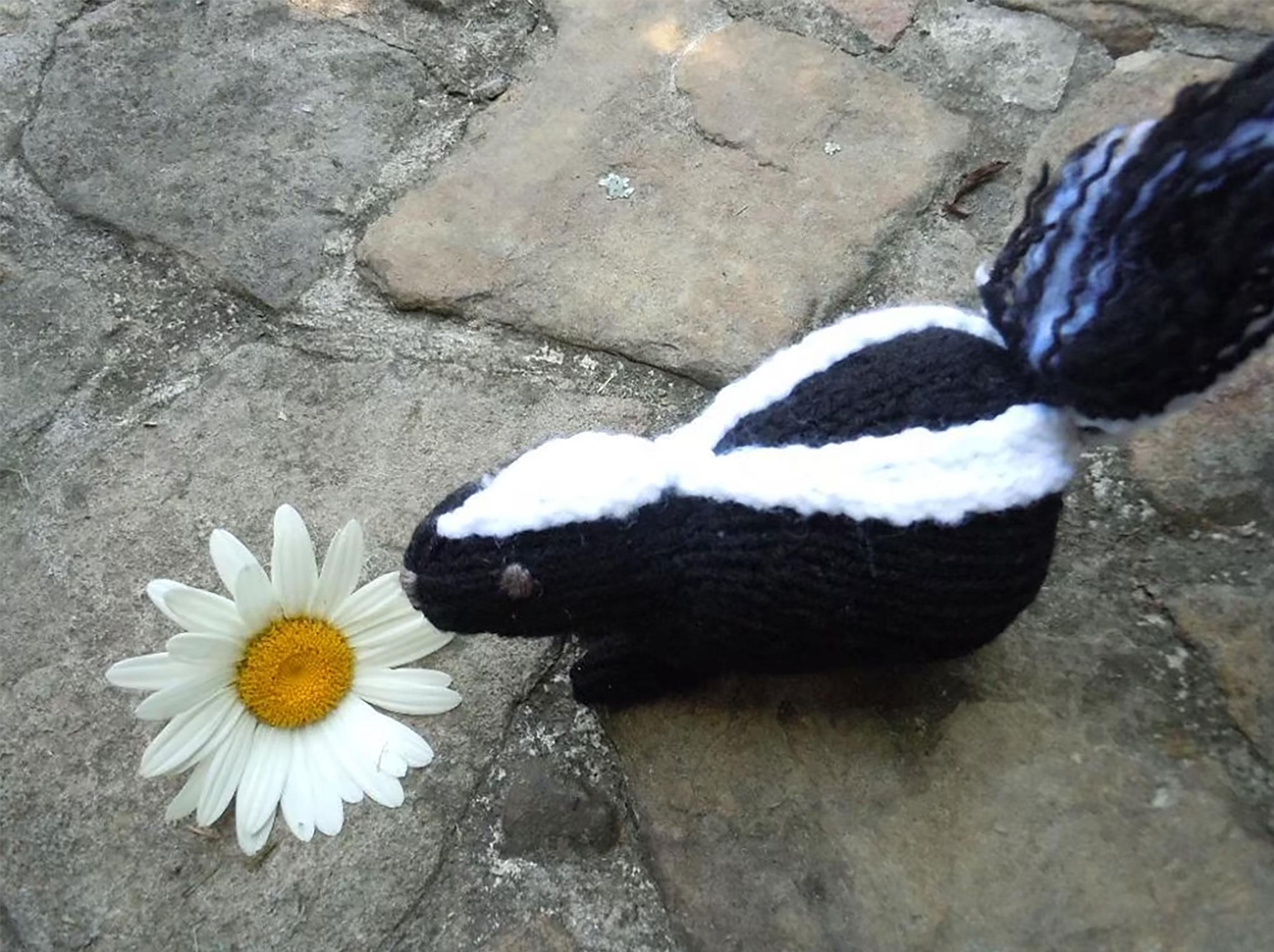 Skunk Crochet Pattern PDF in English, Amigurumi Crochet Toy Pattern ...