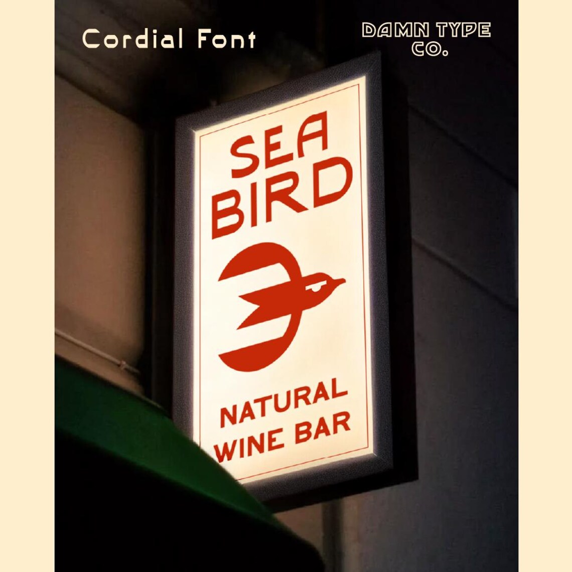 Cordial - Sans Serif , Vintage Font, Retro, Logo Font, Display, Art ...