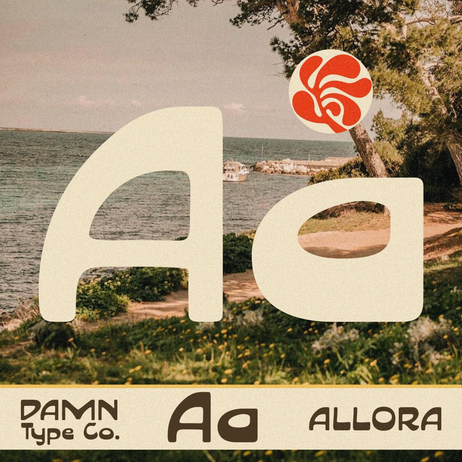 Allora Art Nouveau Font: Bold Retro Display Typeface - Etsy