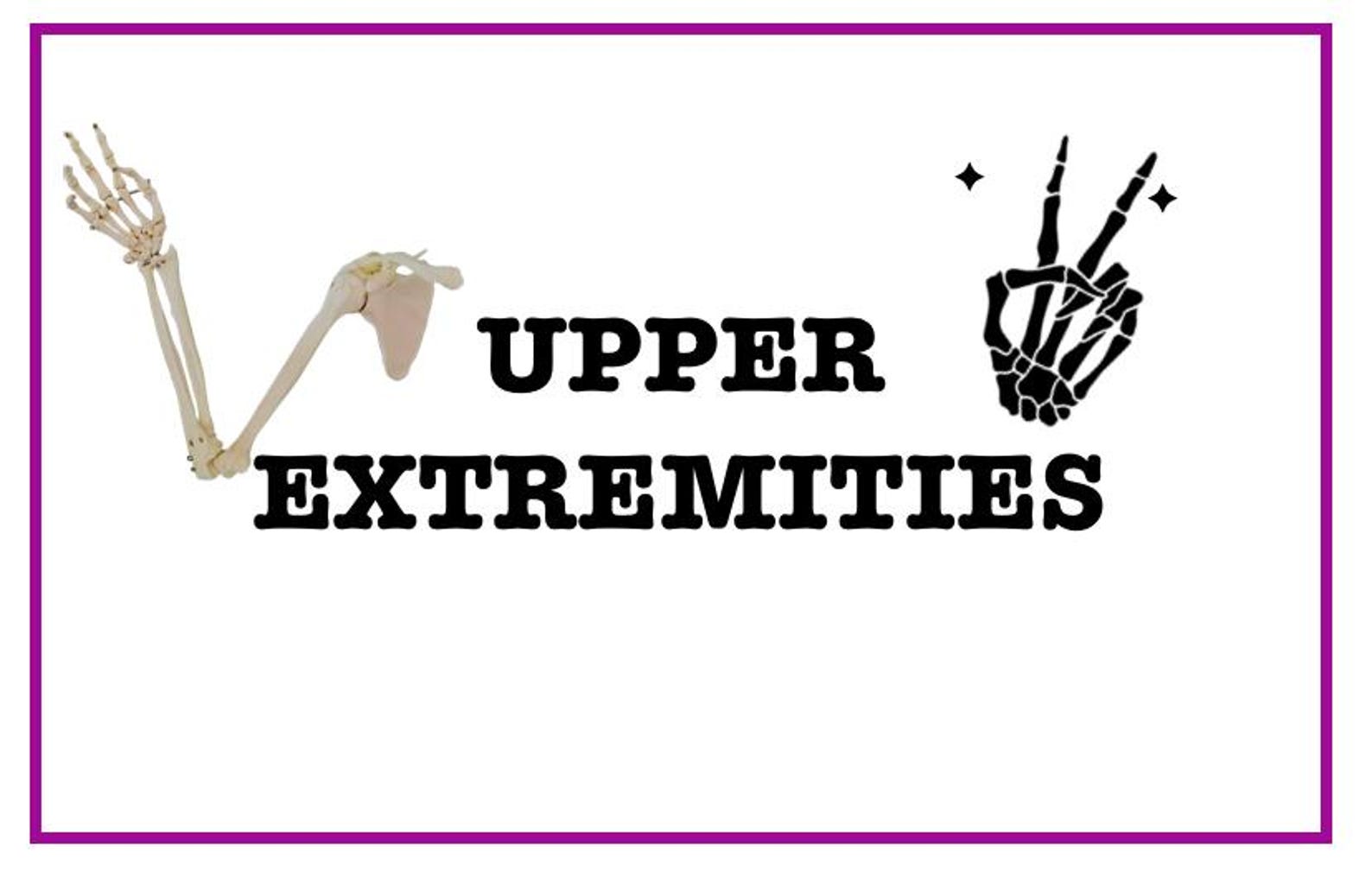 Upper Extremity X-ray Flashcards - Etsy