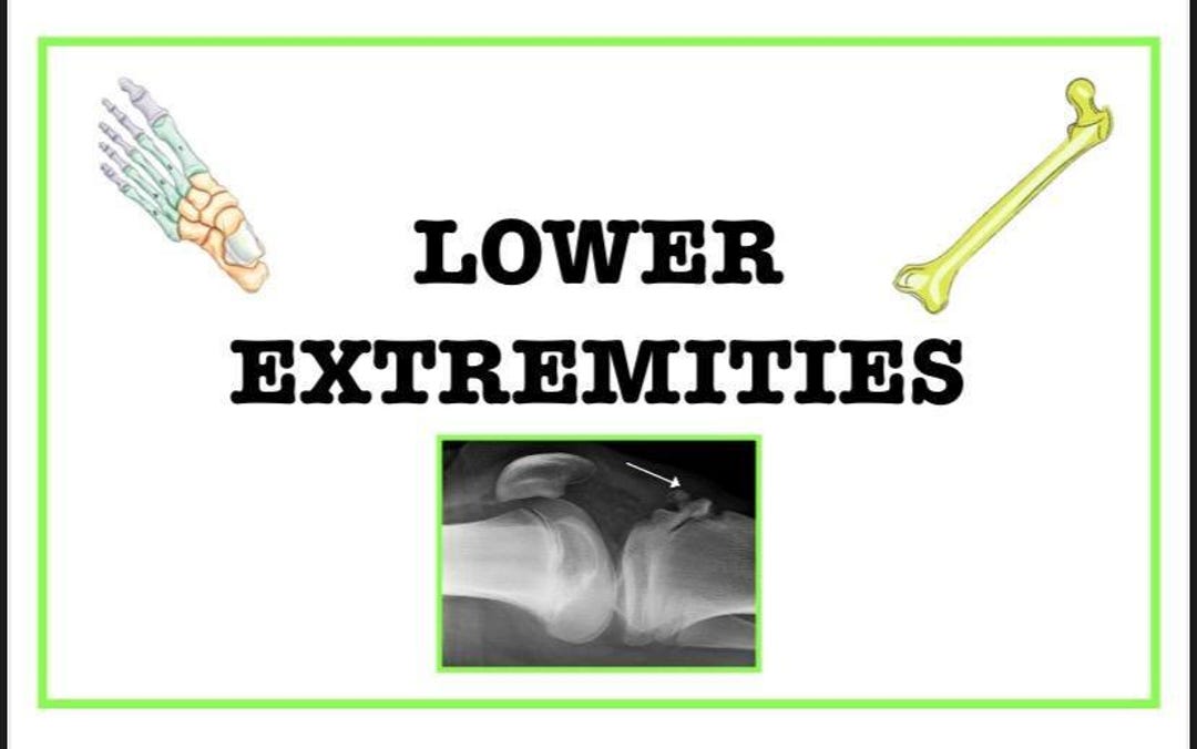 Lower Extremity X-ray Flashcards - Etsy