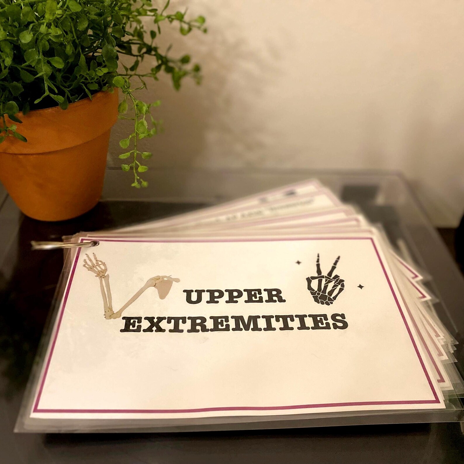Upper Extremity X-ray Flashcards - Etsy