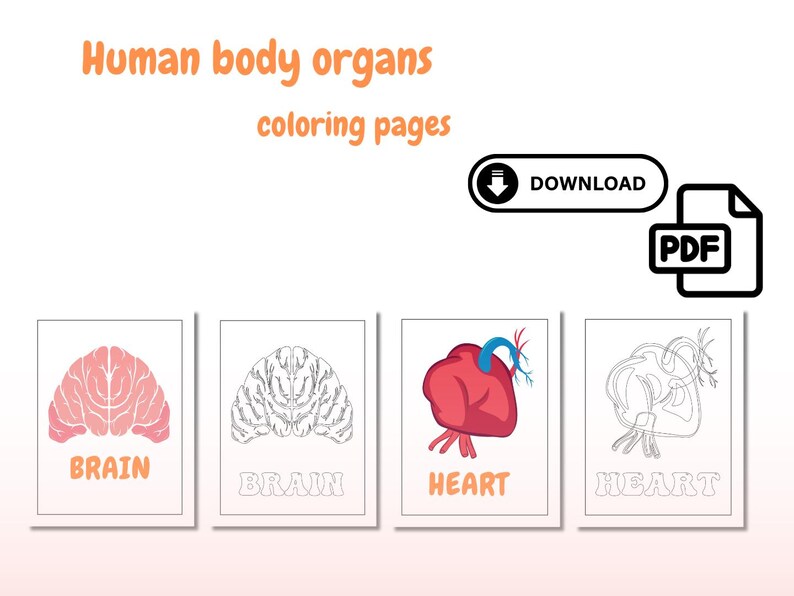 Coloring Pages, Human Anatomy, Coloring Matching Activity, Printable ...