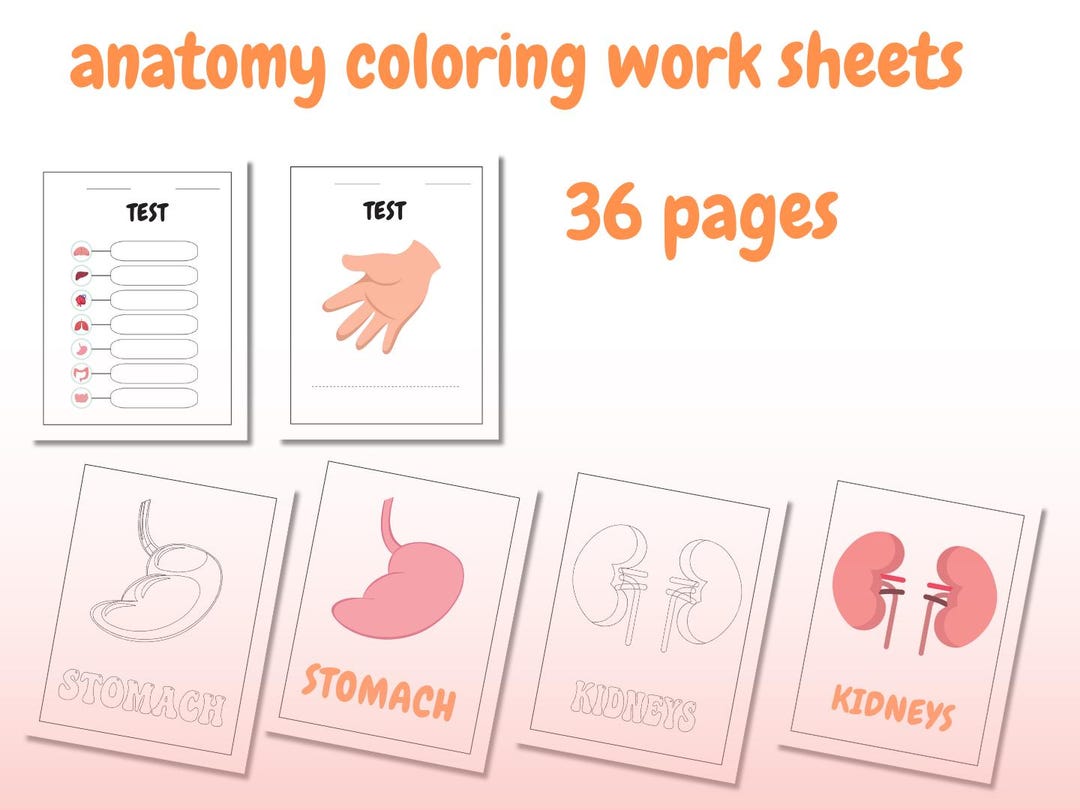 Coloring Pages, Human Anatomy, Coloring Matching Activity, Printable ...