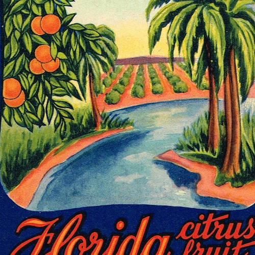 Original Vintage Florida Citrus Crate Label C1930s Indian - Etsy