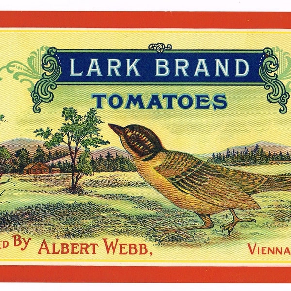 Original Vintage Tin Can Label C1910 Peacock Jam Apricot Apple ...