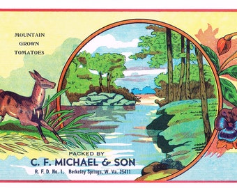 Vintage Gap Label - Etsy