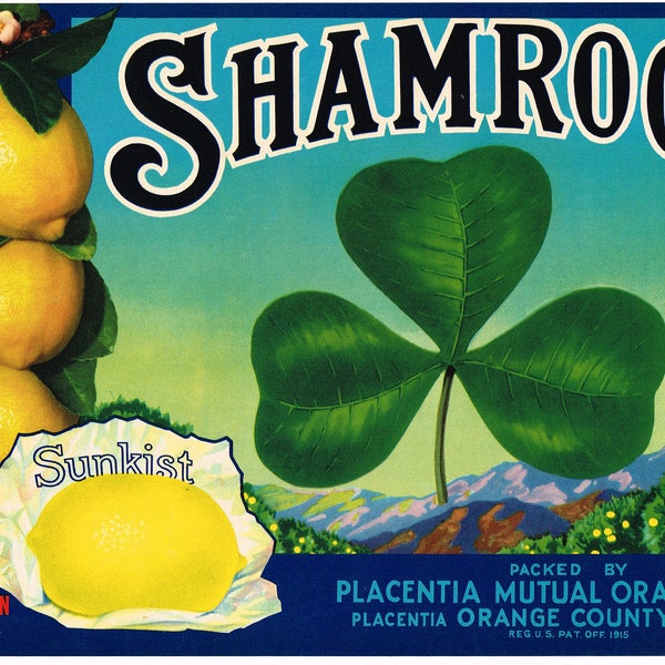 Original Vintage Orange Citrus Crate Label 1930s Sunny Heights - Etsy