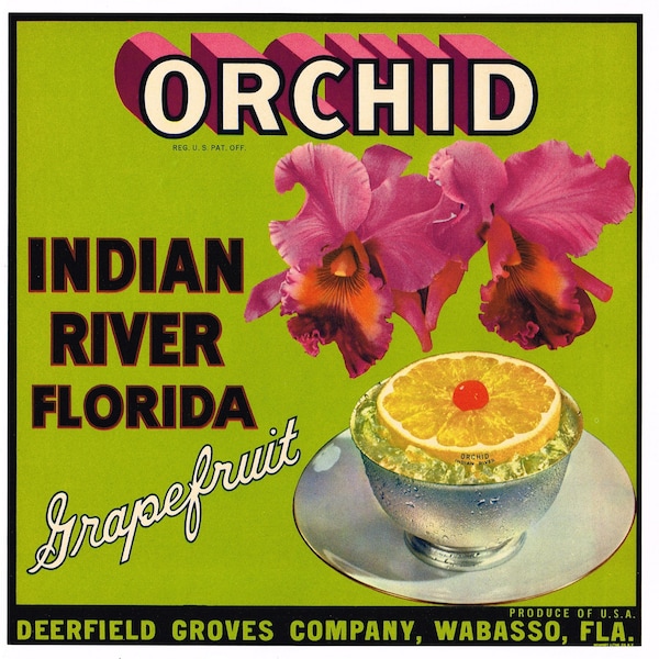 Florida Citrus Crate Label - Etsy