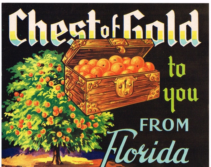 Original Vintage Florida Citrus Crate Label C1930s Chest of - Etsy