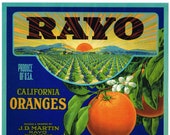 Original Vintage Orange Citrus Crate Label 1940s Rayo Brand - Etsy