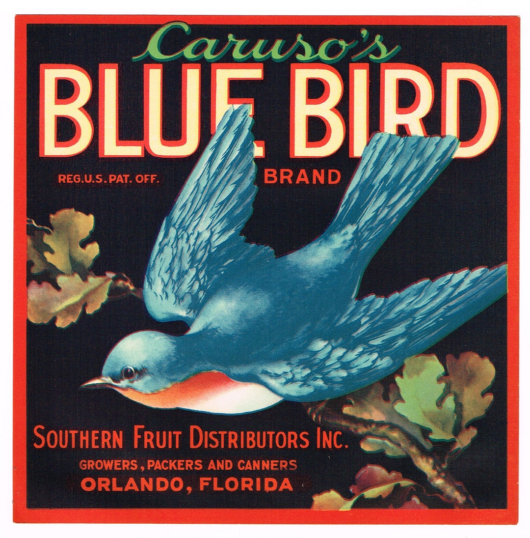 Original Vintage Florida Citrus Crate Label C1930 Carusos Blue Bird ...