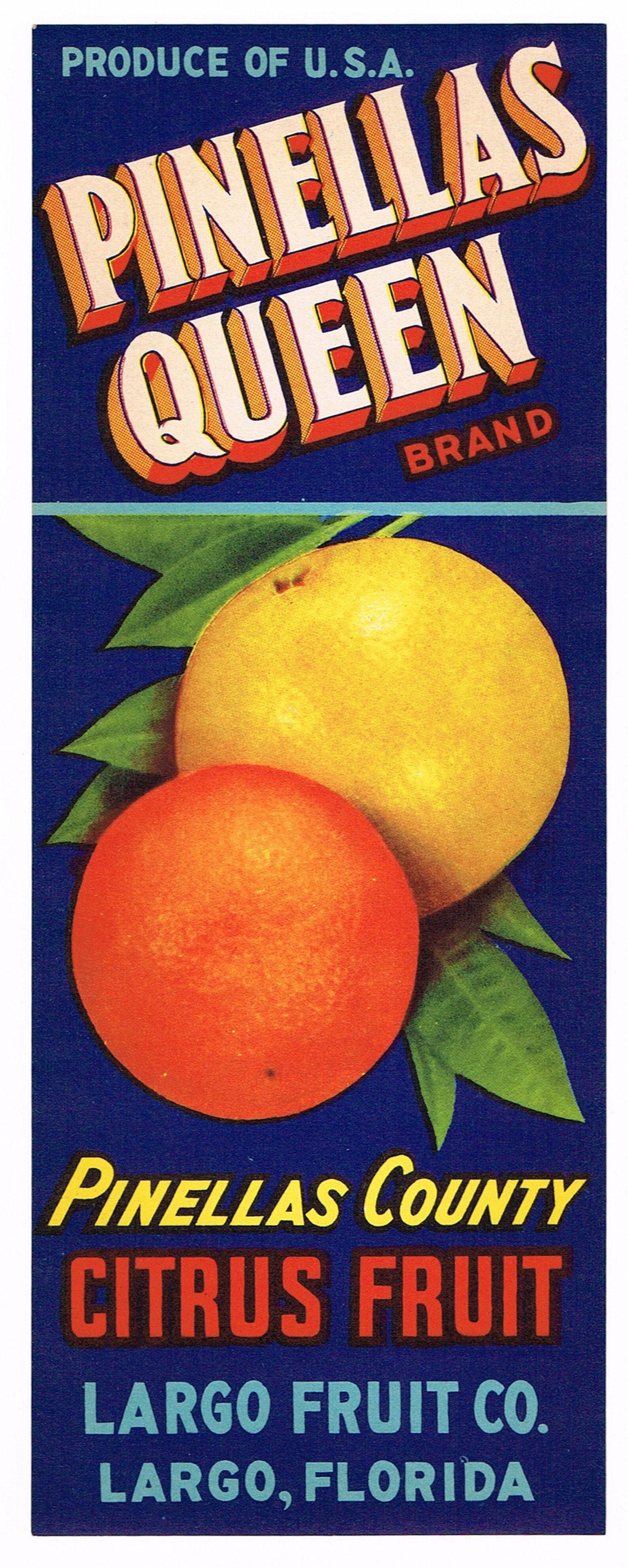 Original Vintage Florida Strip Citrus Crate Label C1930s | Etsy