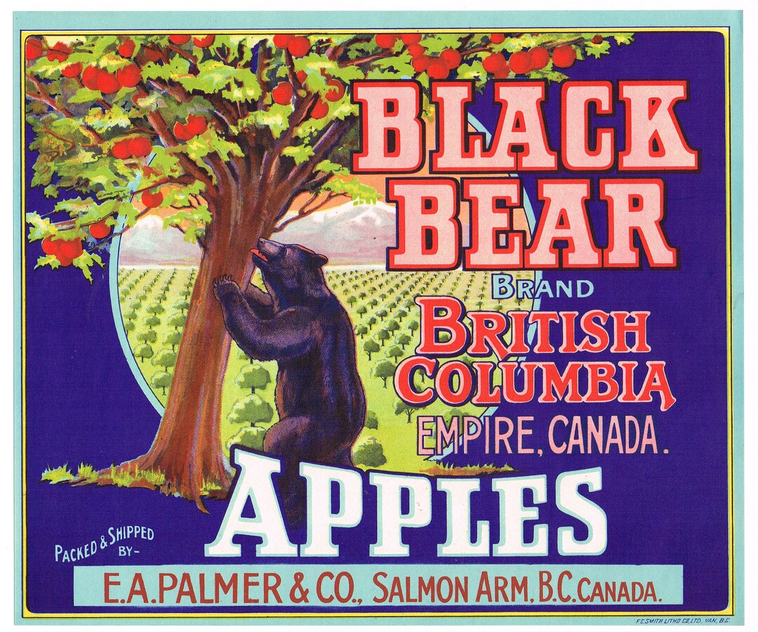 Original Vintage Apple Crate Label 1930s Black Bear Salmon Arm British ...