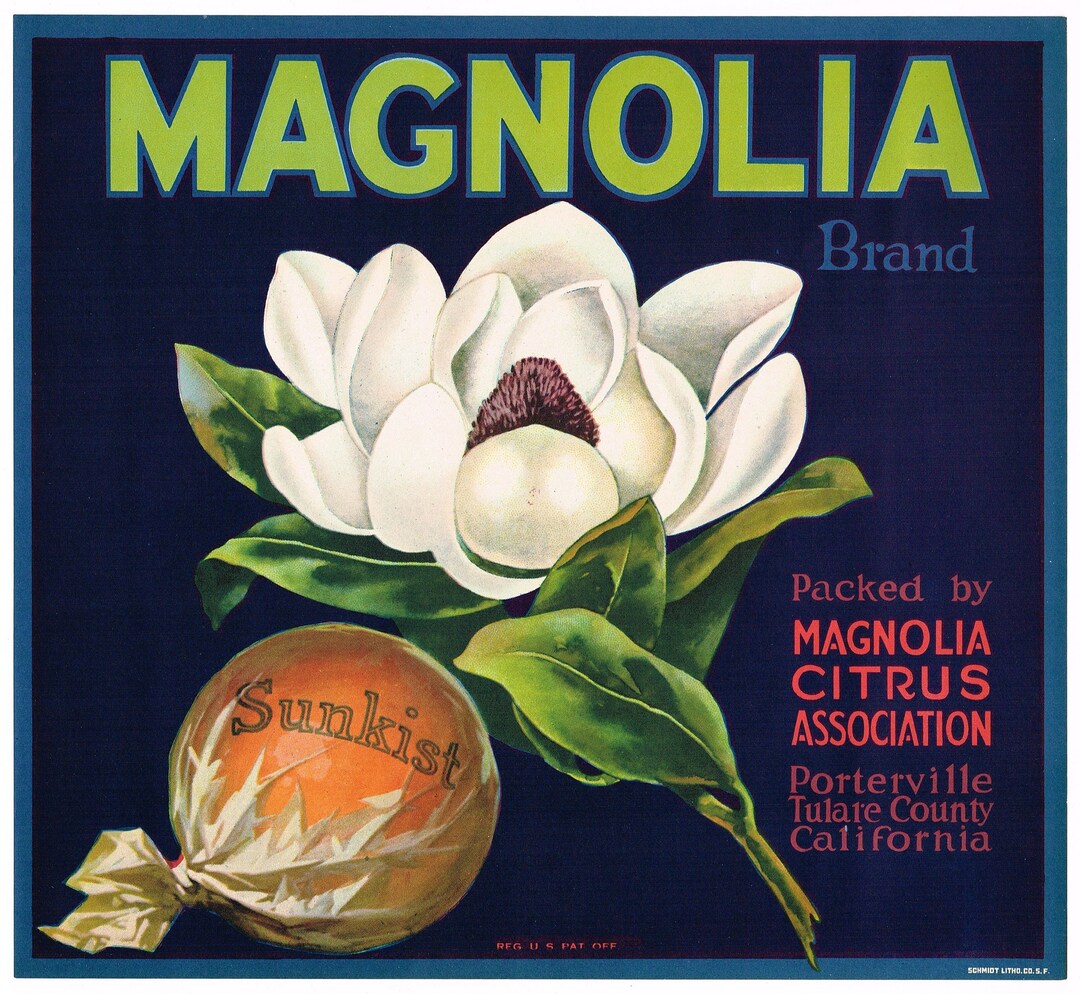 Original Vintage Citrus Crate Label 1930s Magnolia Floral Flower Label ...