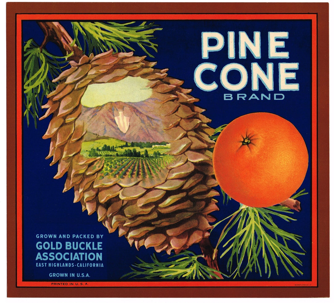 Original Vintage Citrus Crate Label 1930s Pine Cone Arrowhead East ...