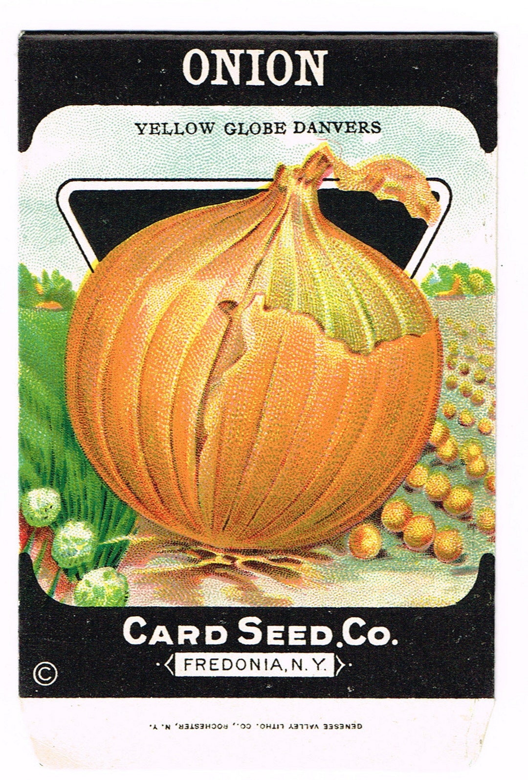 Original Vintage Seed Packet Pack NOS C1920 General Store Garden Folk ...